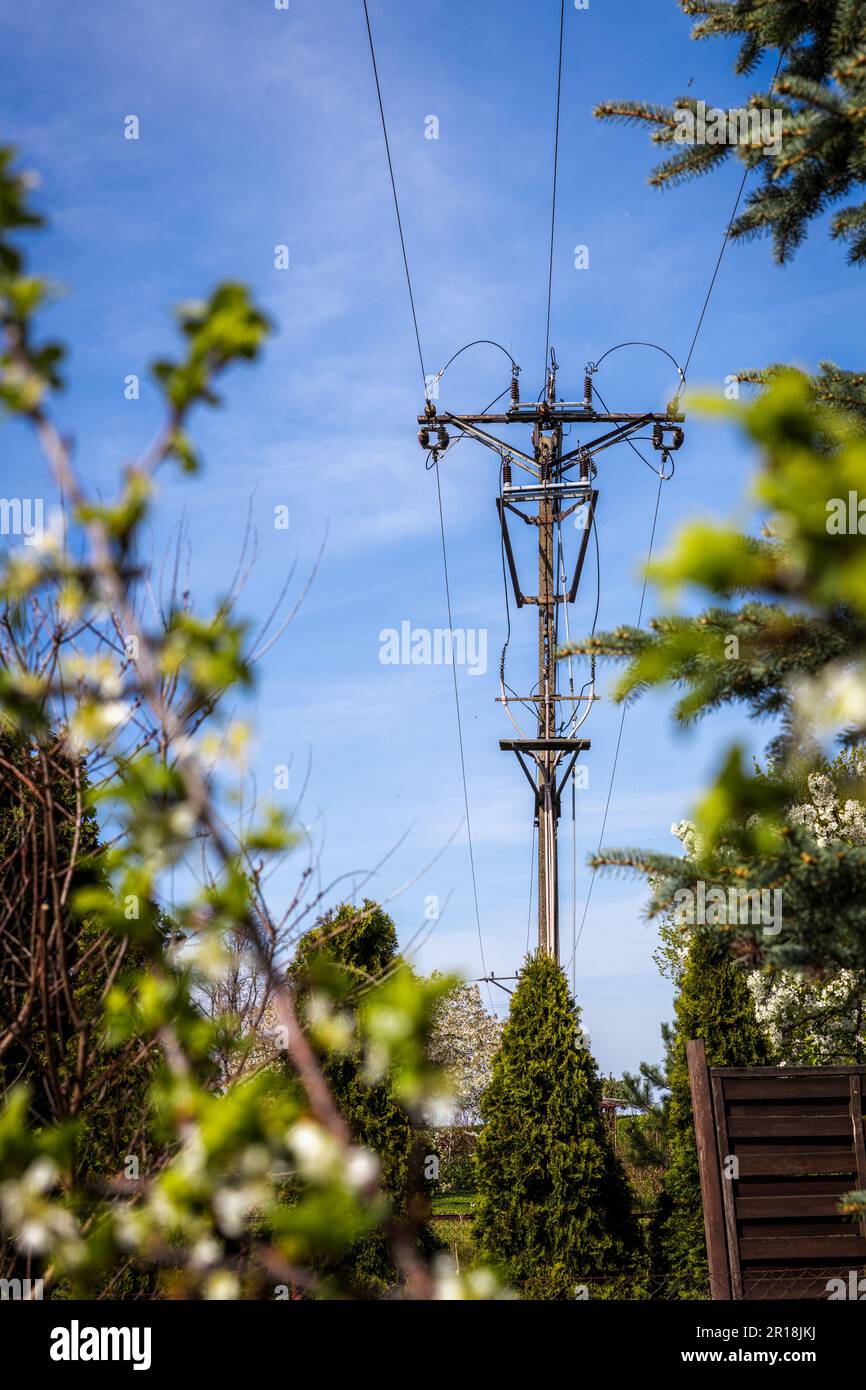 electrical pole surrounded by lush green trees and bushes, symbolizing ...