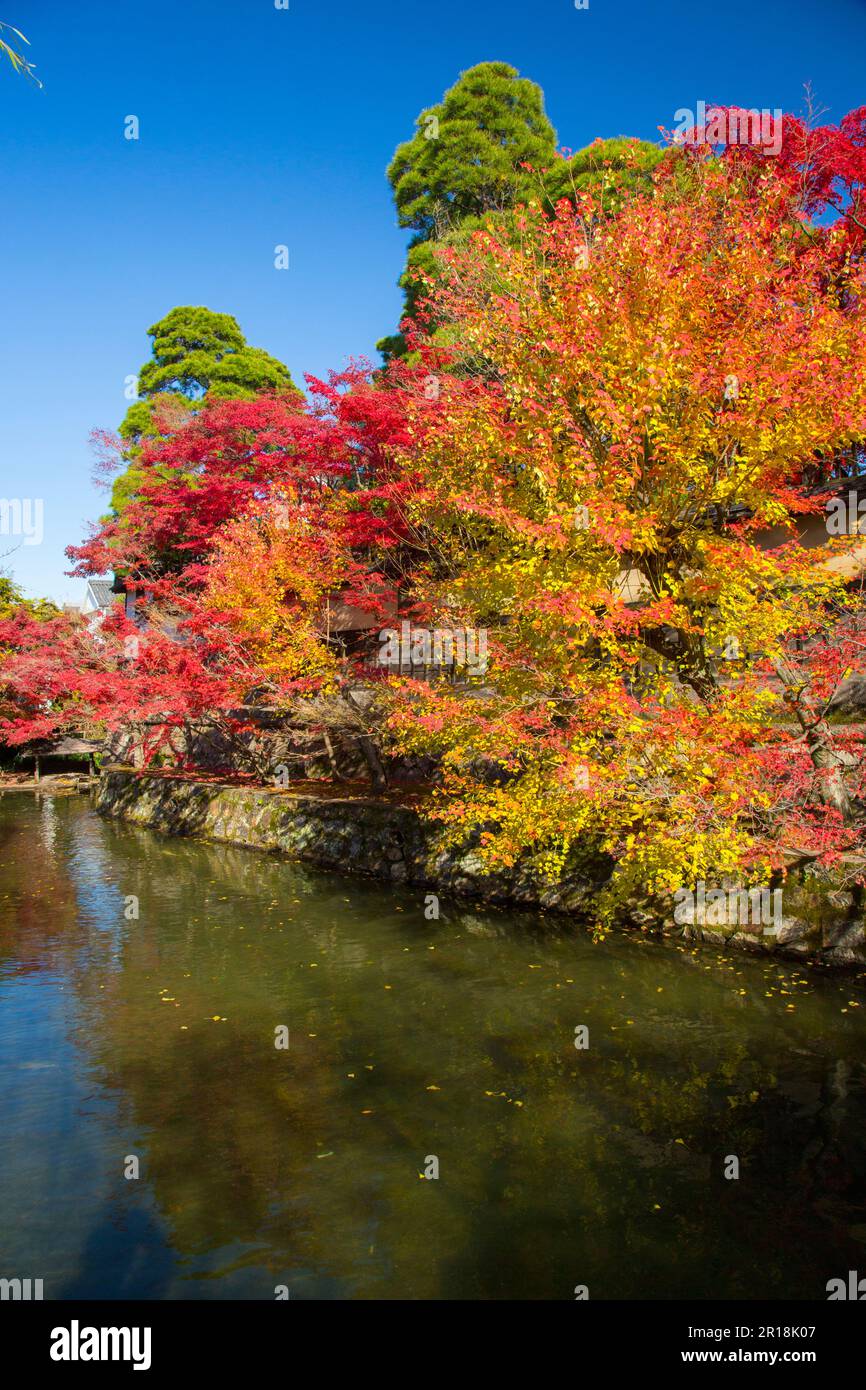 rows of house in Kurashiki aesthetic area Stock Photo - Alamy
