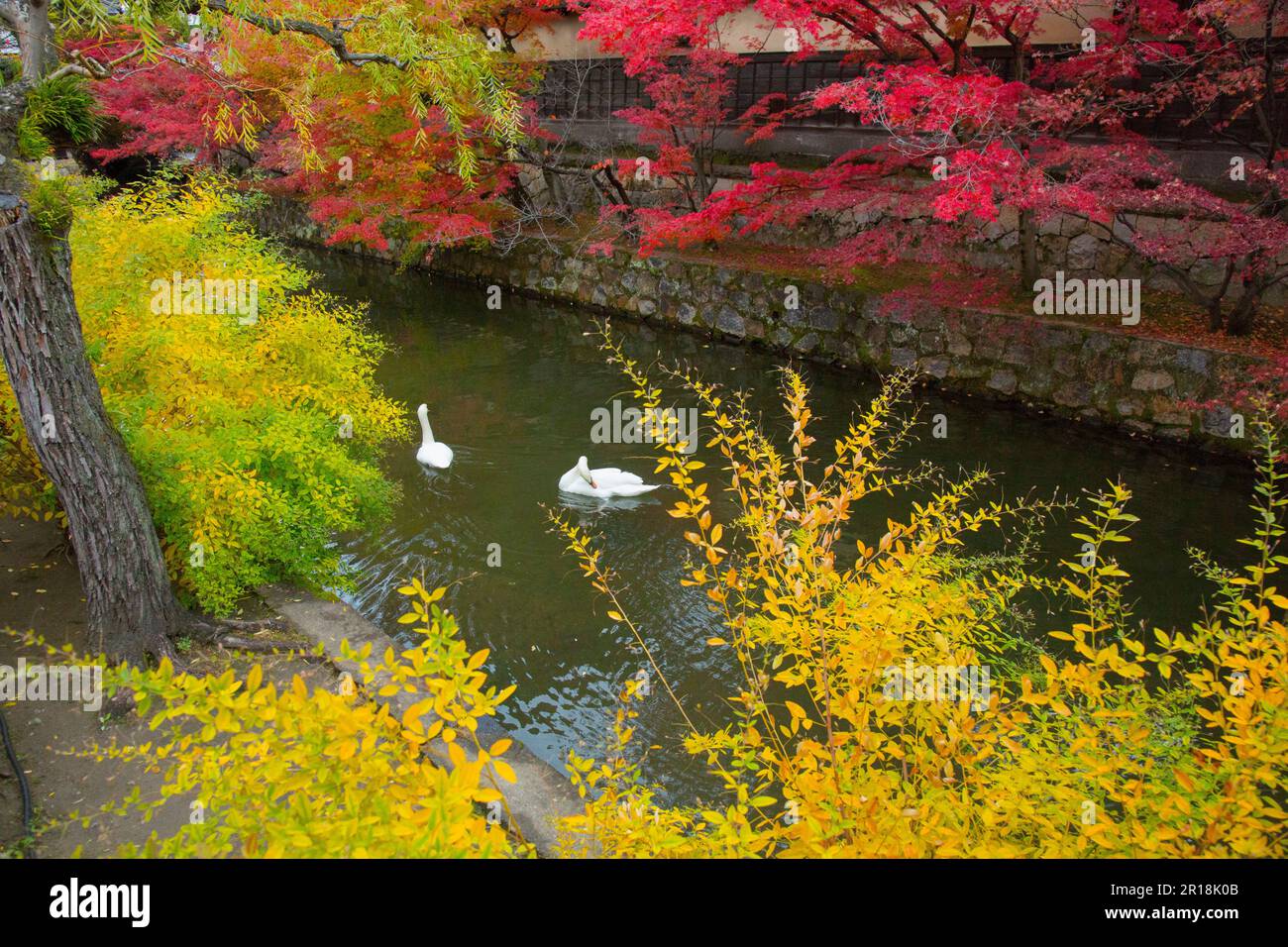 rows of house in Kurashiki aesthetic area Stock Photo - Alamy