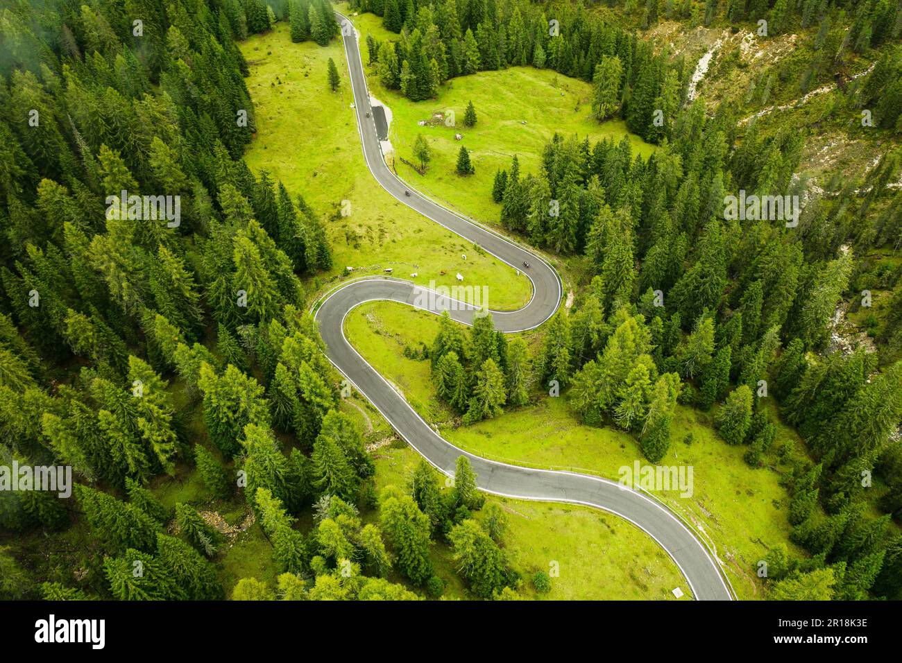 The serpentine and picturesque Snake Road driveway weaves through the ...