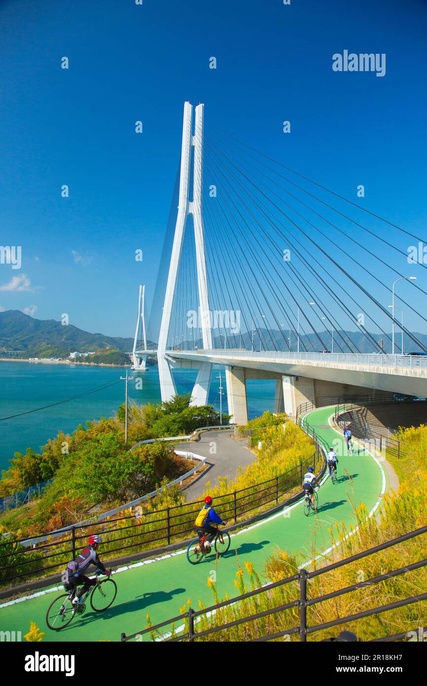 Tatara Bridge At Night