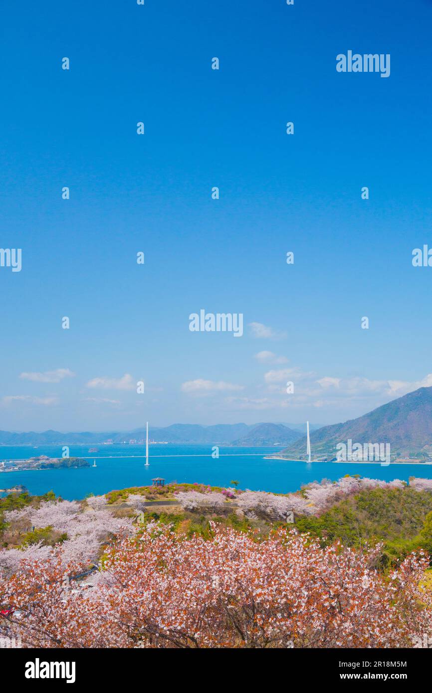 Tatara Bridge in spring Stock Photo - Alamy