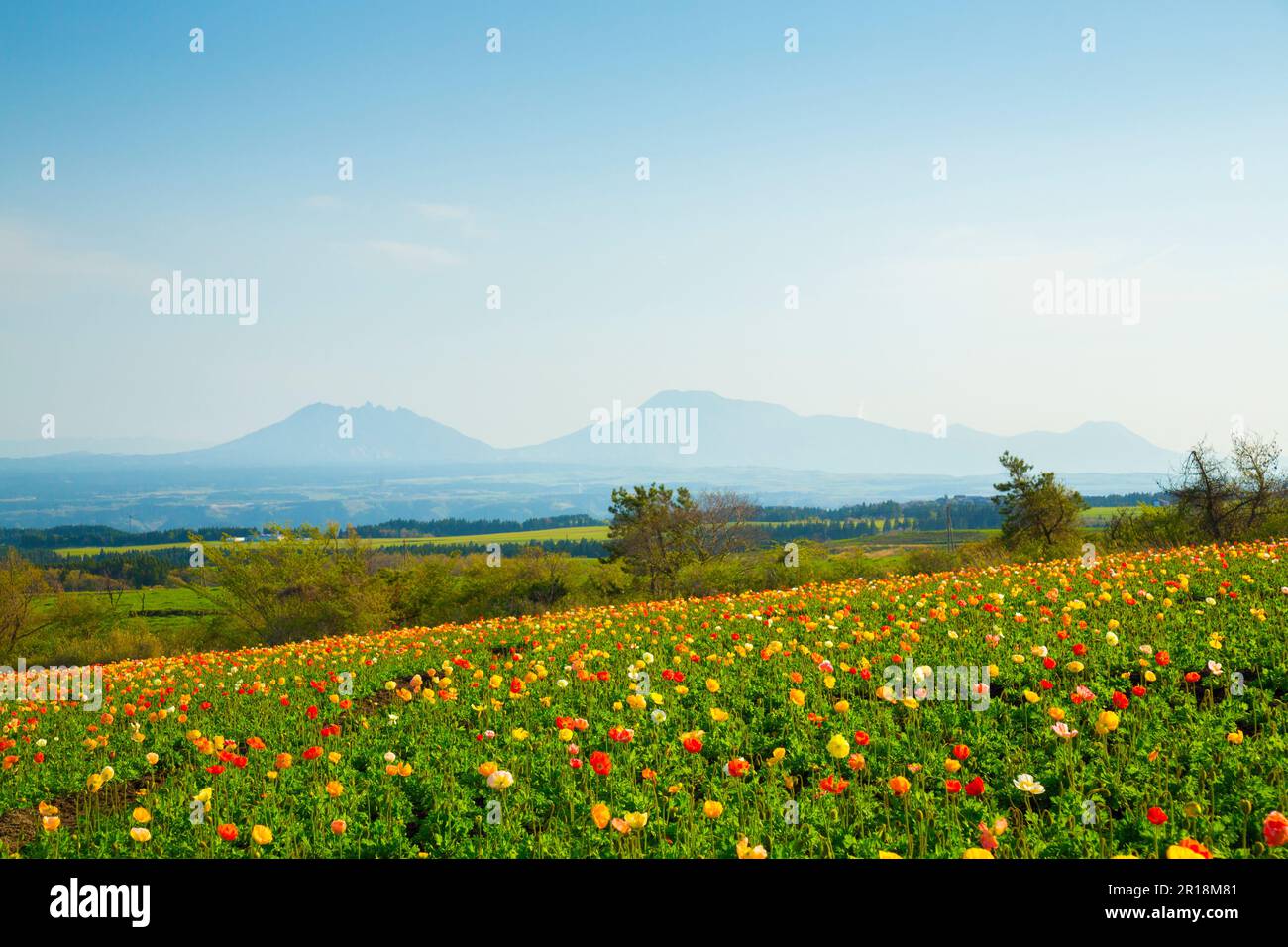 Kuju city hi-res stock photography and images - Alamy