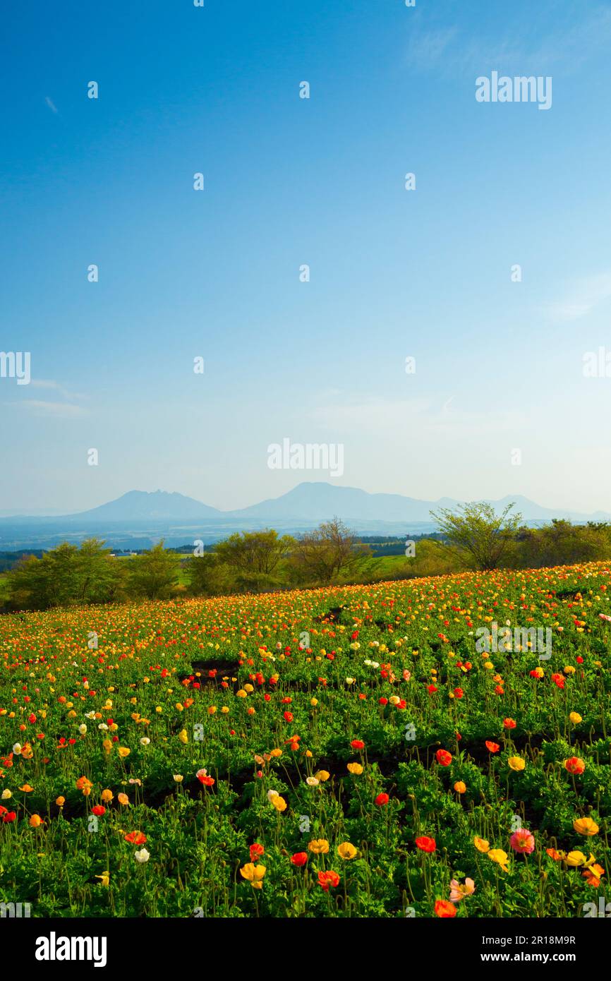 Kuju city hi-res stock photography and images - Alamy