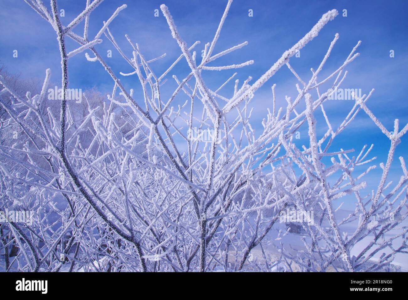 Soft rime hi-res stock photography and images - Alamy