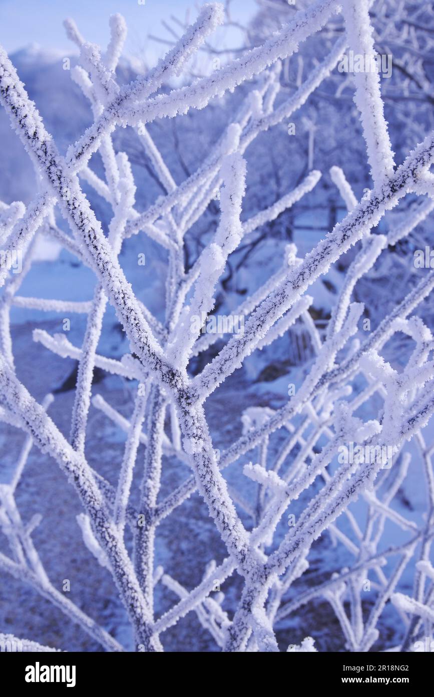 Rime japan hi-res stock photography and images - Alamy