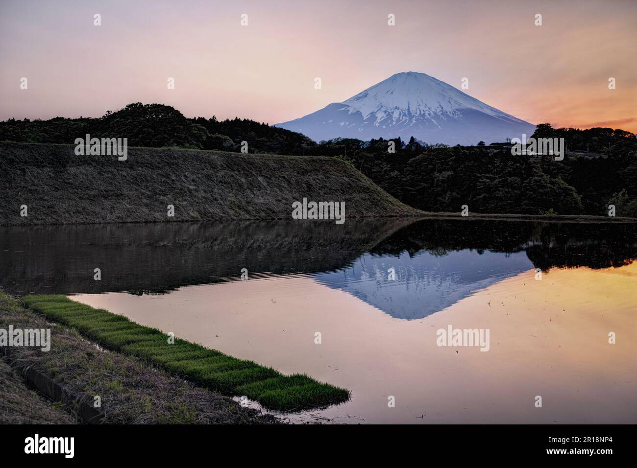 Mt. Fuji reflecting in the rice field before planting Stock Photo - Alamy