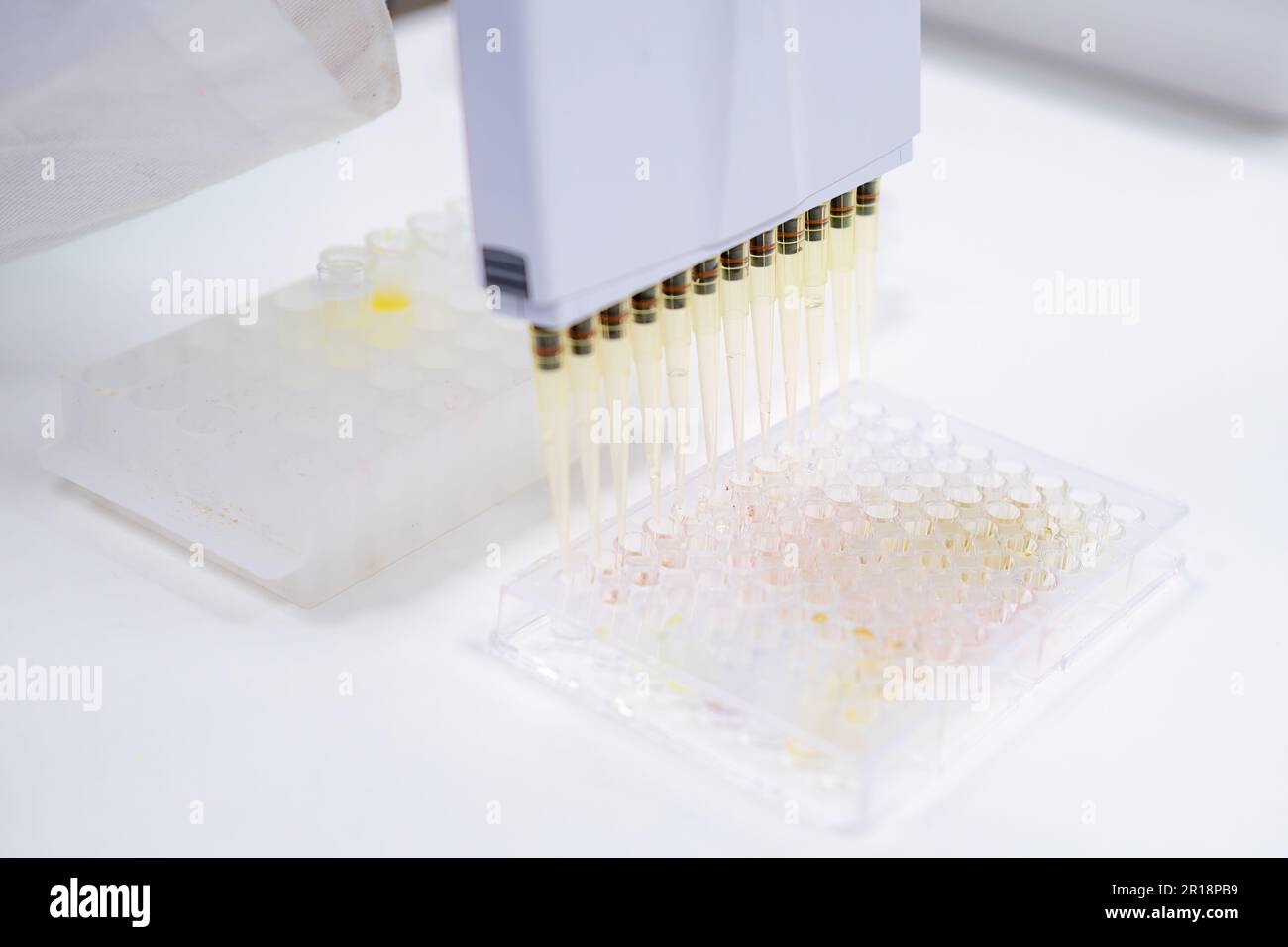 Scientists utilize a multichannel pipette dispenser to load microplates ...
