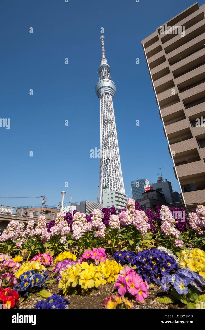 Tokyo Sky Tree Stock Photo - Alamy