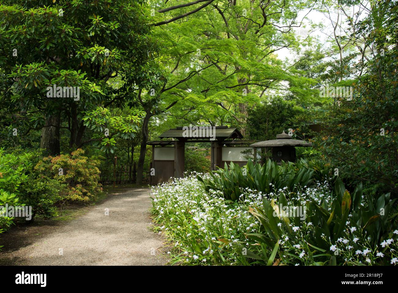 Tokyo garden spring hi-res stock photography and images - Alamy