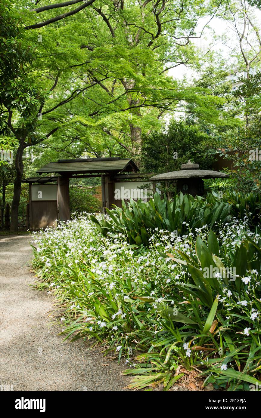 Tokyo garden spring hi-res stock photography and images - Alamy