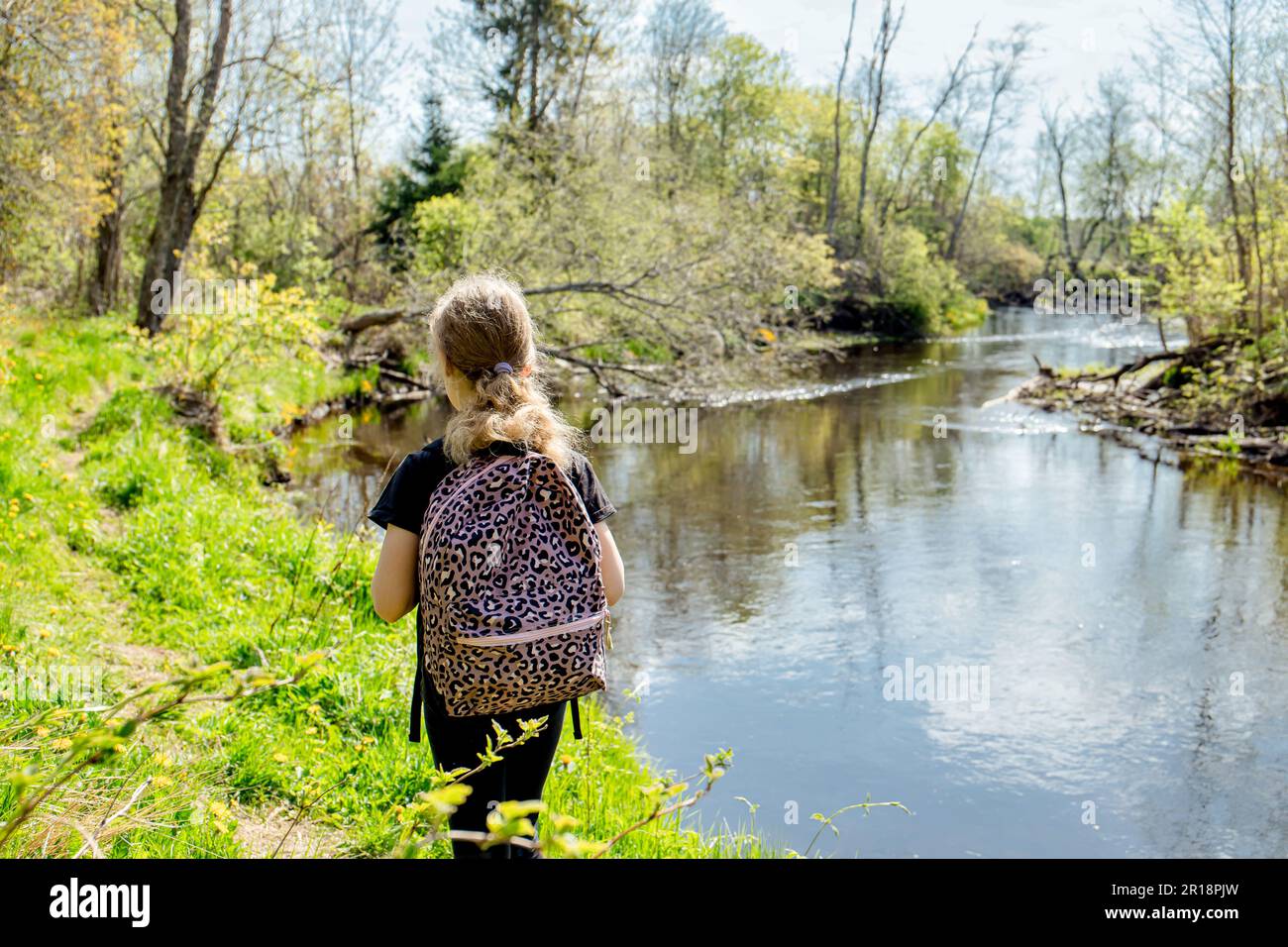 Back view of 9 year old girl hiking, walking alone in the forest by the ...