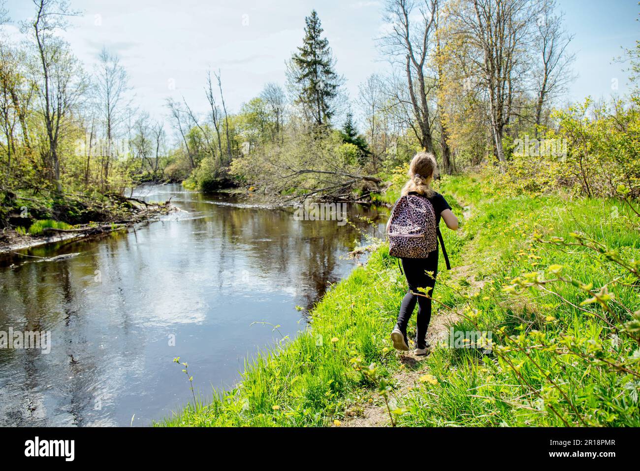 Back view of 9 year old girl hiking, walking alone in the forest by the ...