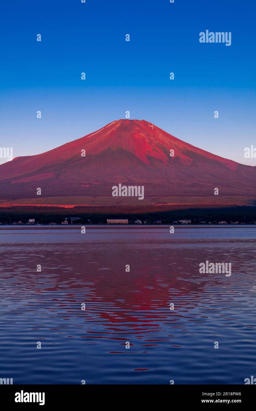 Red Fuji and Lake Yamanaka Stock Photo - Alamy
