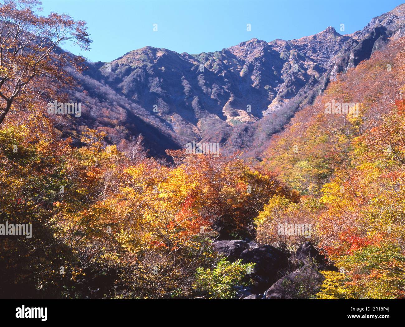 Tanigawa mountain hi-res stock photography and images - Alamy