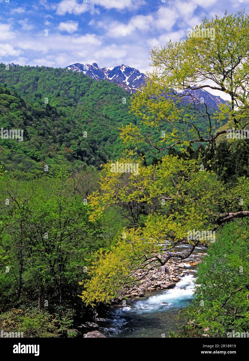 Yubiso river and Mt. tanigawa Stock Photo - Alamy