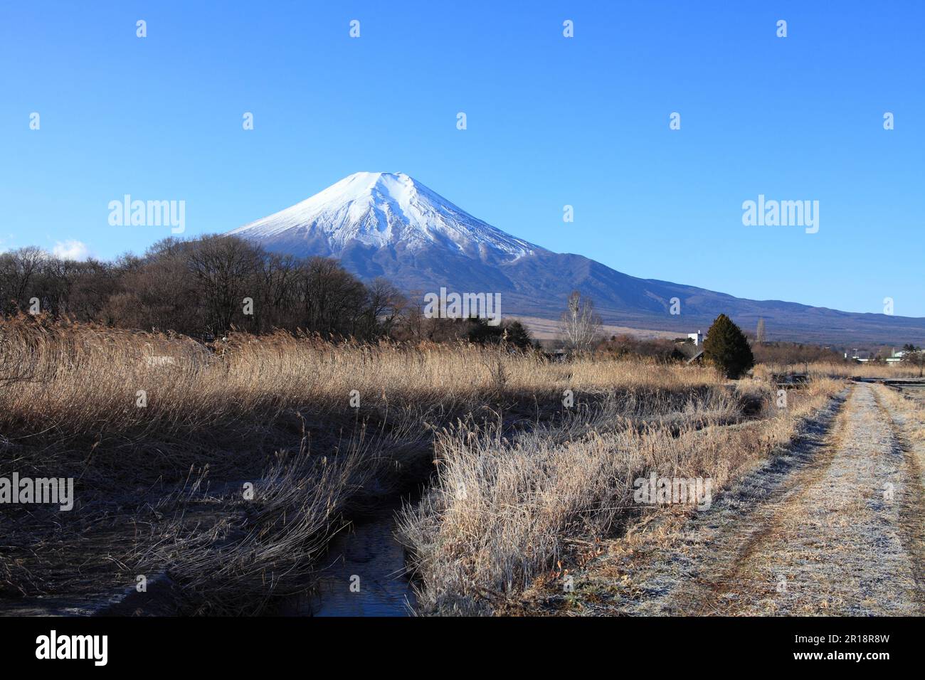 Mount Fuji in winter Stock Photo - Alamy