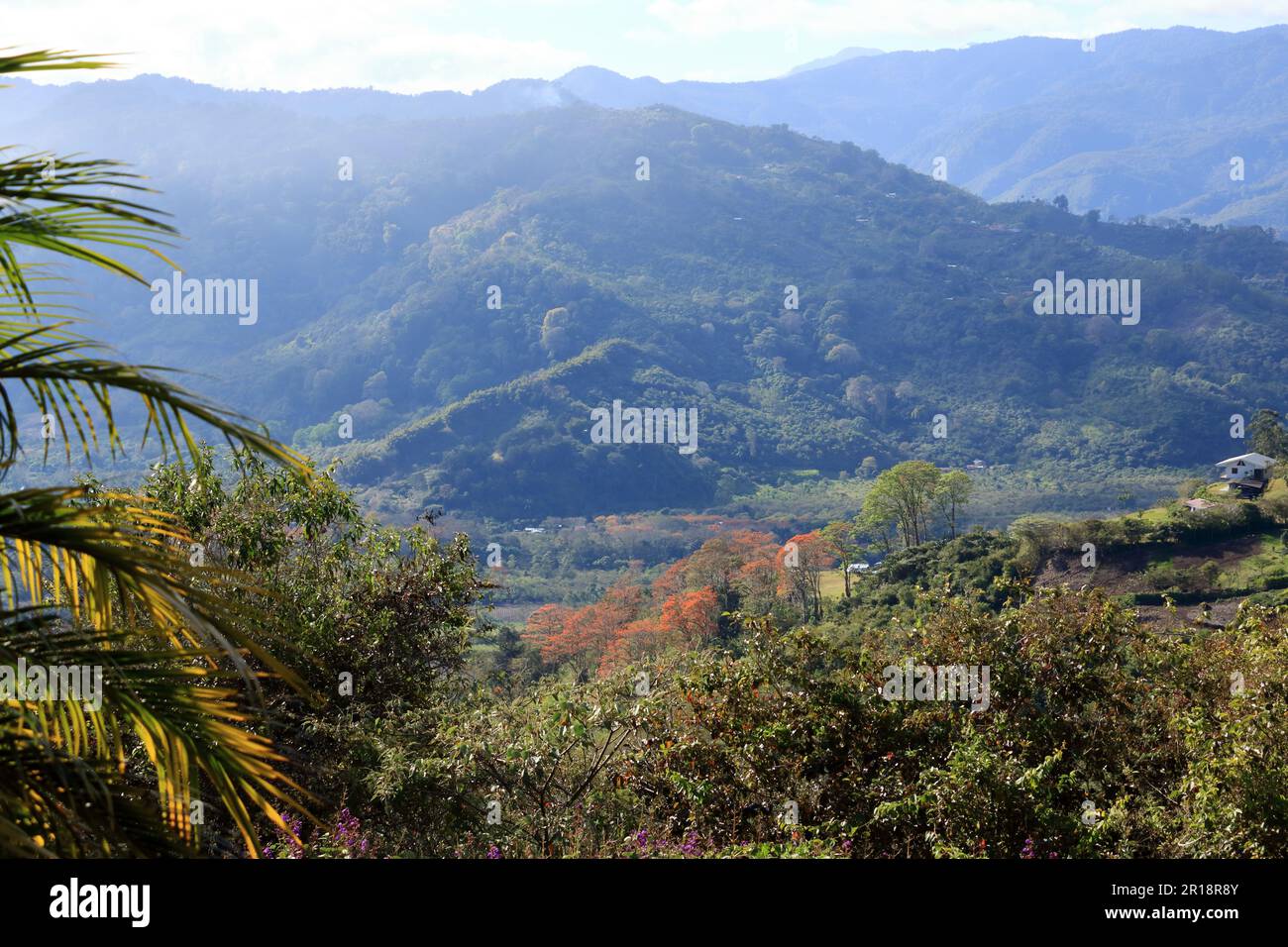 the Landscape near in Paraiso around Orosi Valley near the city of ...