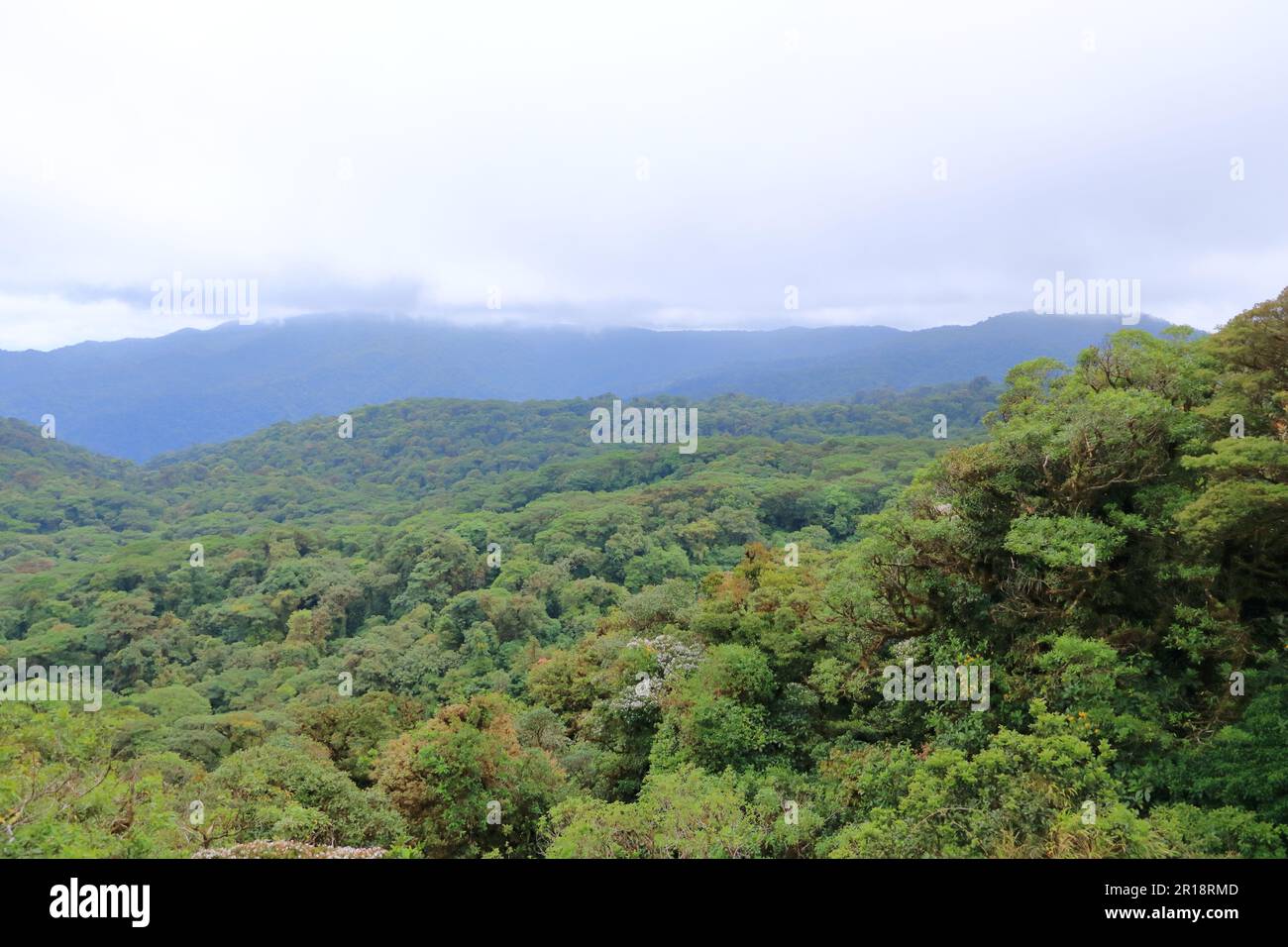aerial photo of monteverde national park in costa rica, famous cloud ...