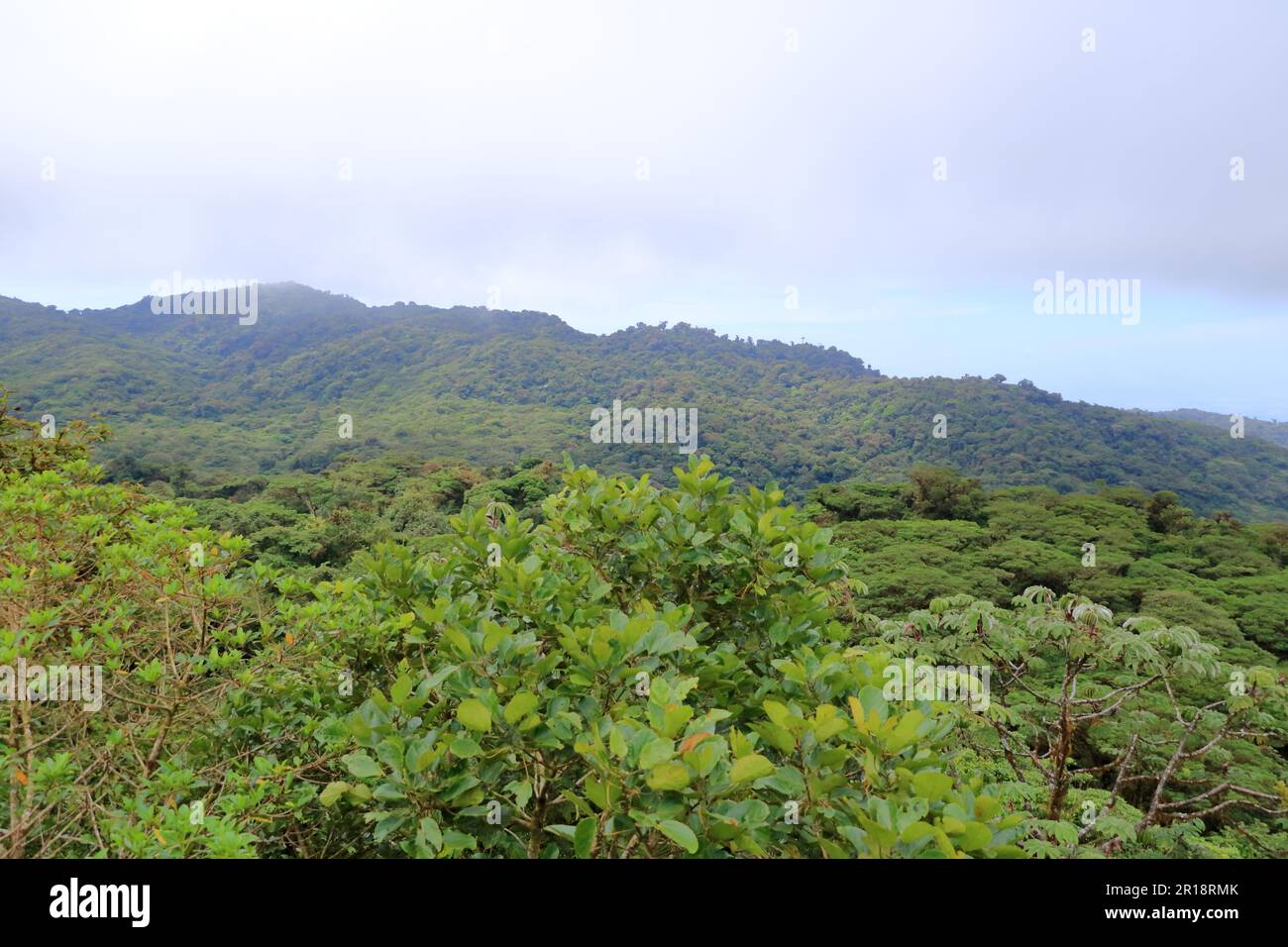 aerial photo of monteverde national park in costa rica, famous cloud ...