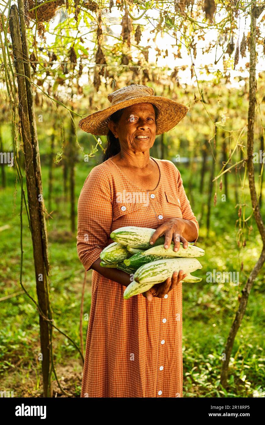 Elderly Indian female farmer smiles holding bunch of ripe gathered ...