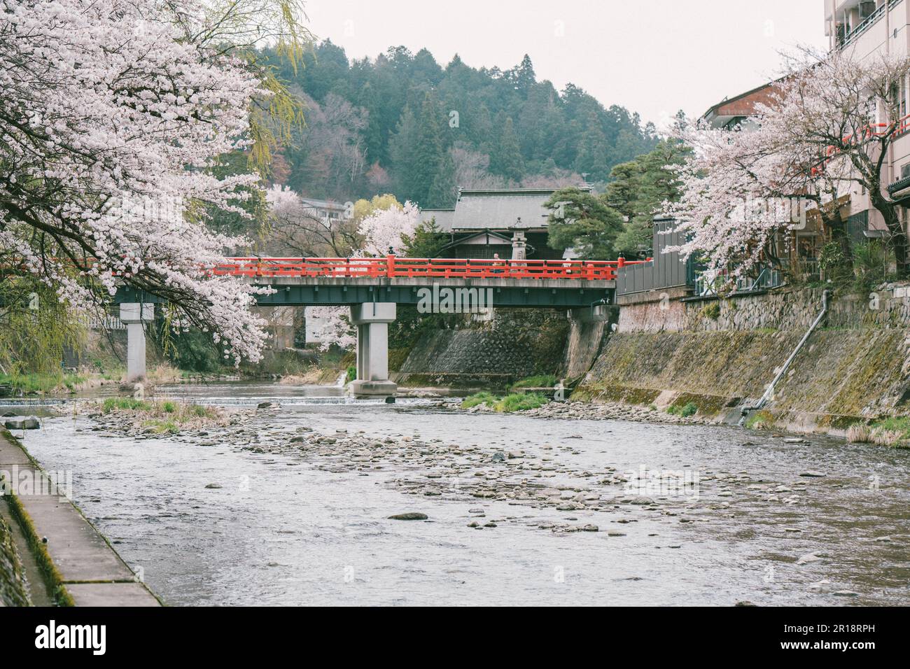 Cherry trees along side hi-res stock photography and images - Alamy