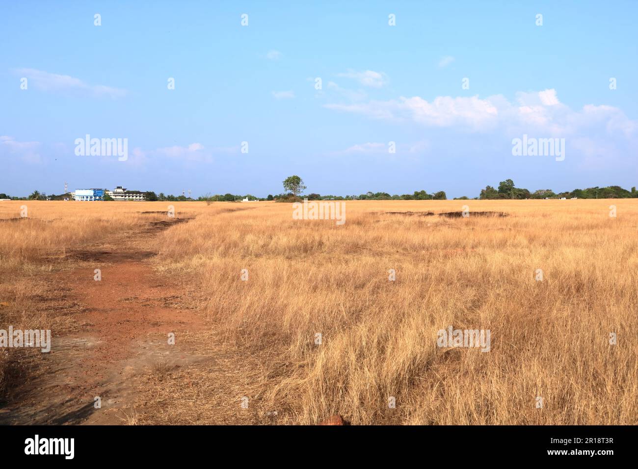 The beautiful Madayipara, is a flat topped hillock located in the ...