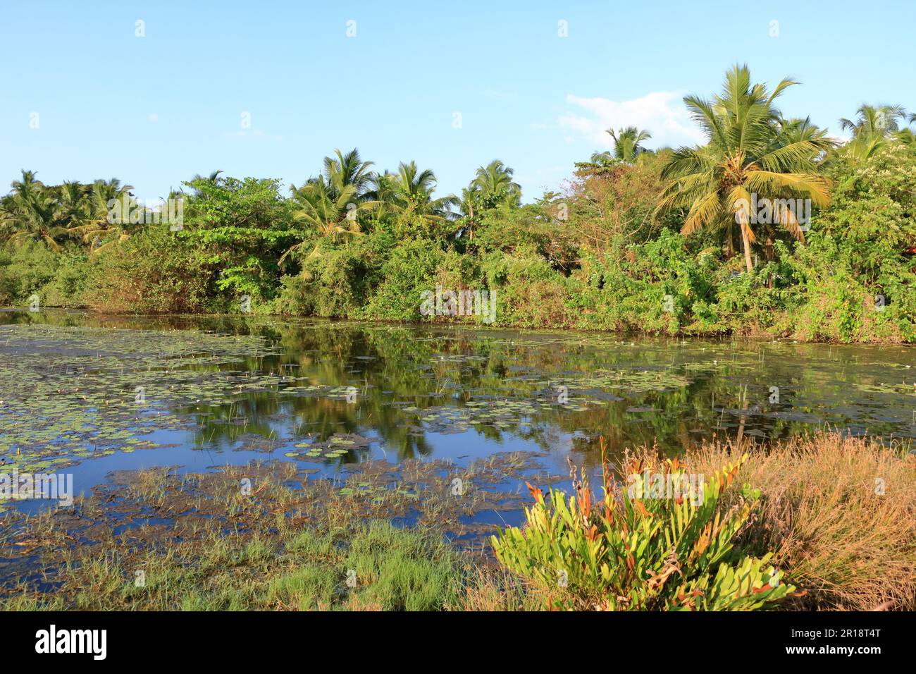 Backwater View near the Pazhayangadi Bridge in Kannur District in ...