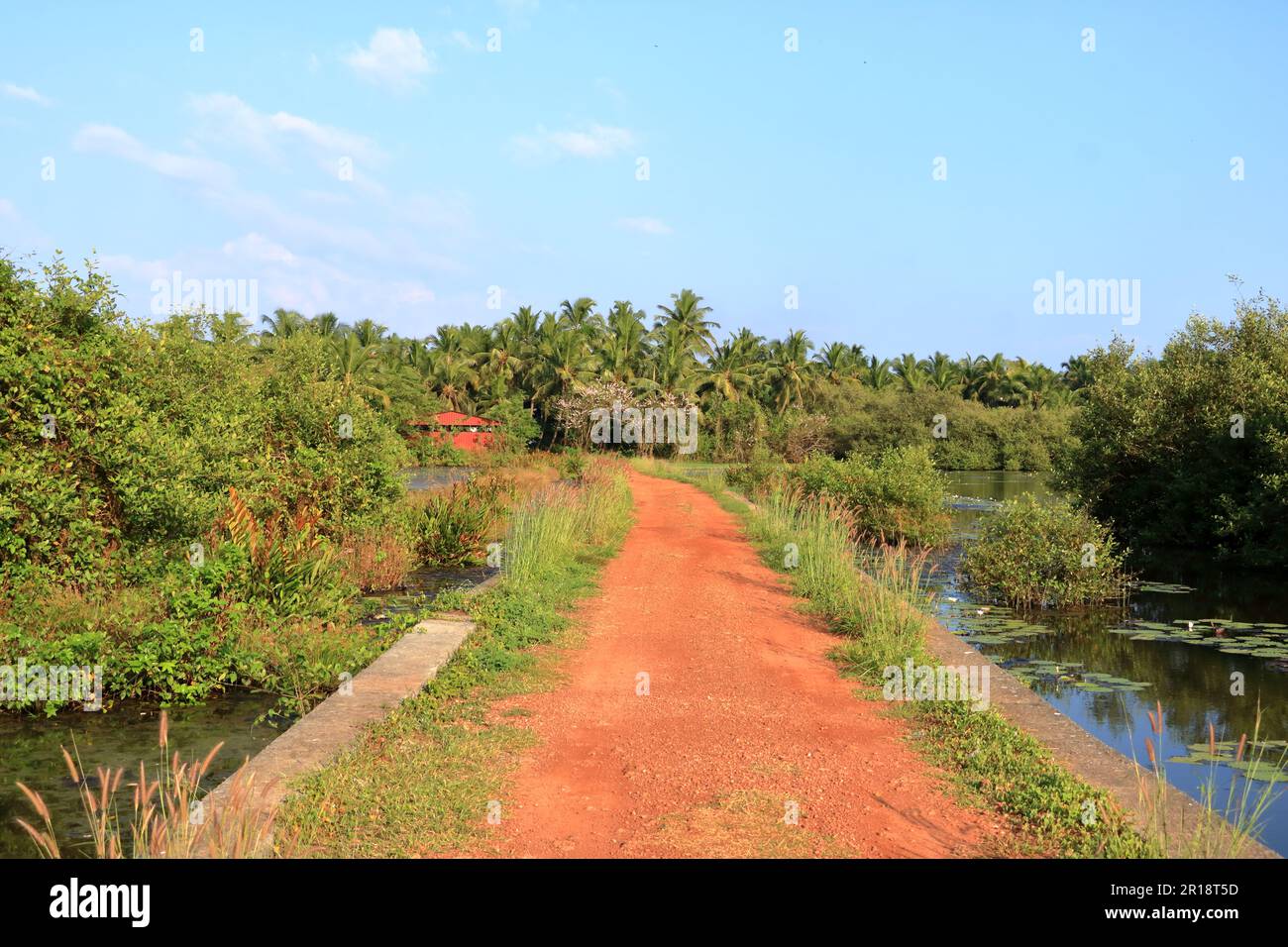 Backwater View near the Pazhayangadi Bridge in Kannur District in ...