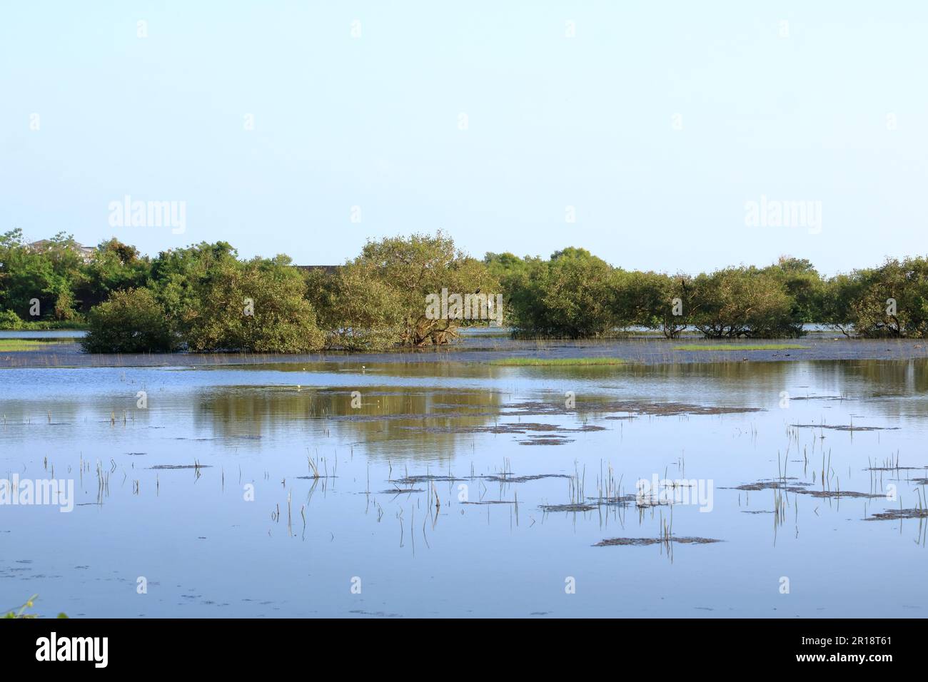 Backwater View near the Pazhayangadi Bridge in Kannur District in ...