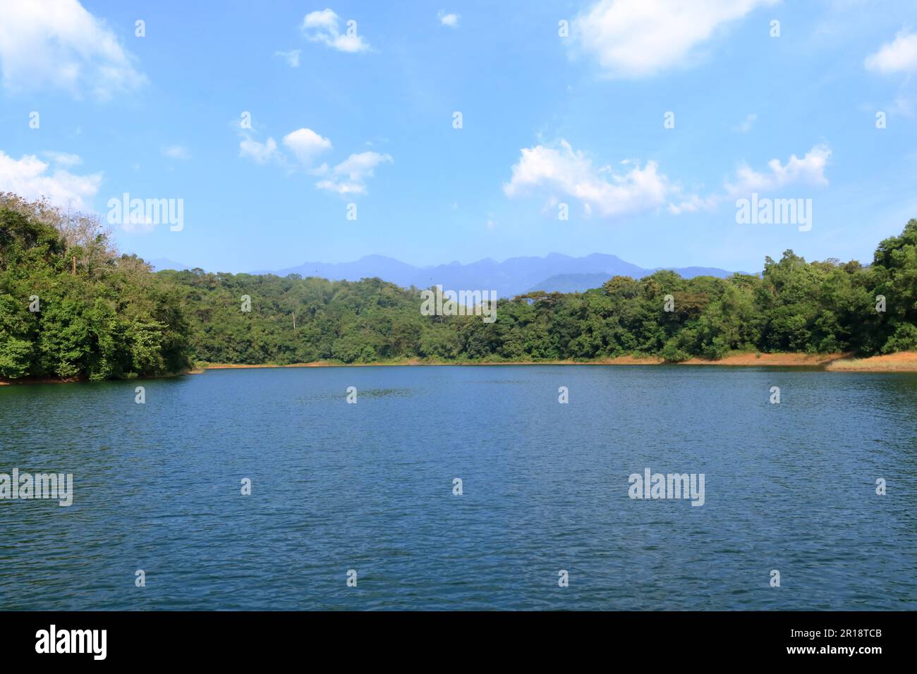 the lake in front of the at peruvannamuzhi (peruvannamoozhi) dam ...