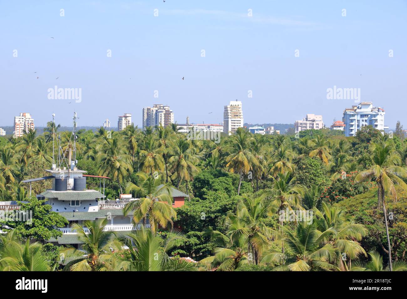 Aerial view of Kannur City beautiful Kerala nature scenery Coconut ...
