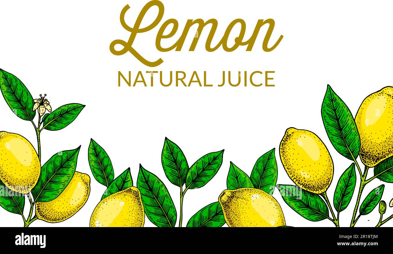 Horizontal lemon background. Hand drawn colorful vector illustration in ...