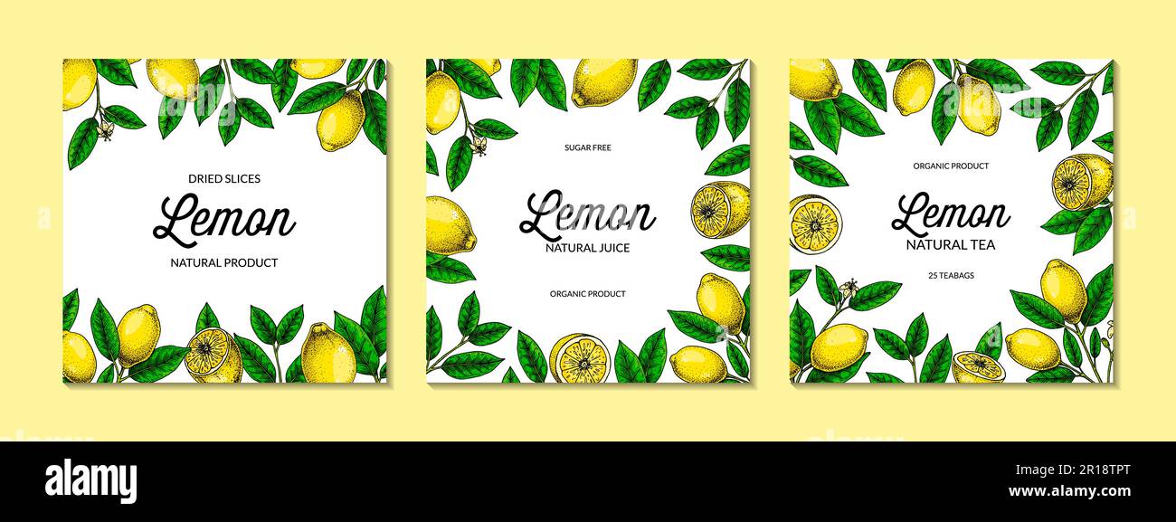 Square lemon background. Hand drawn colorful vector illustration in ...