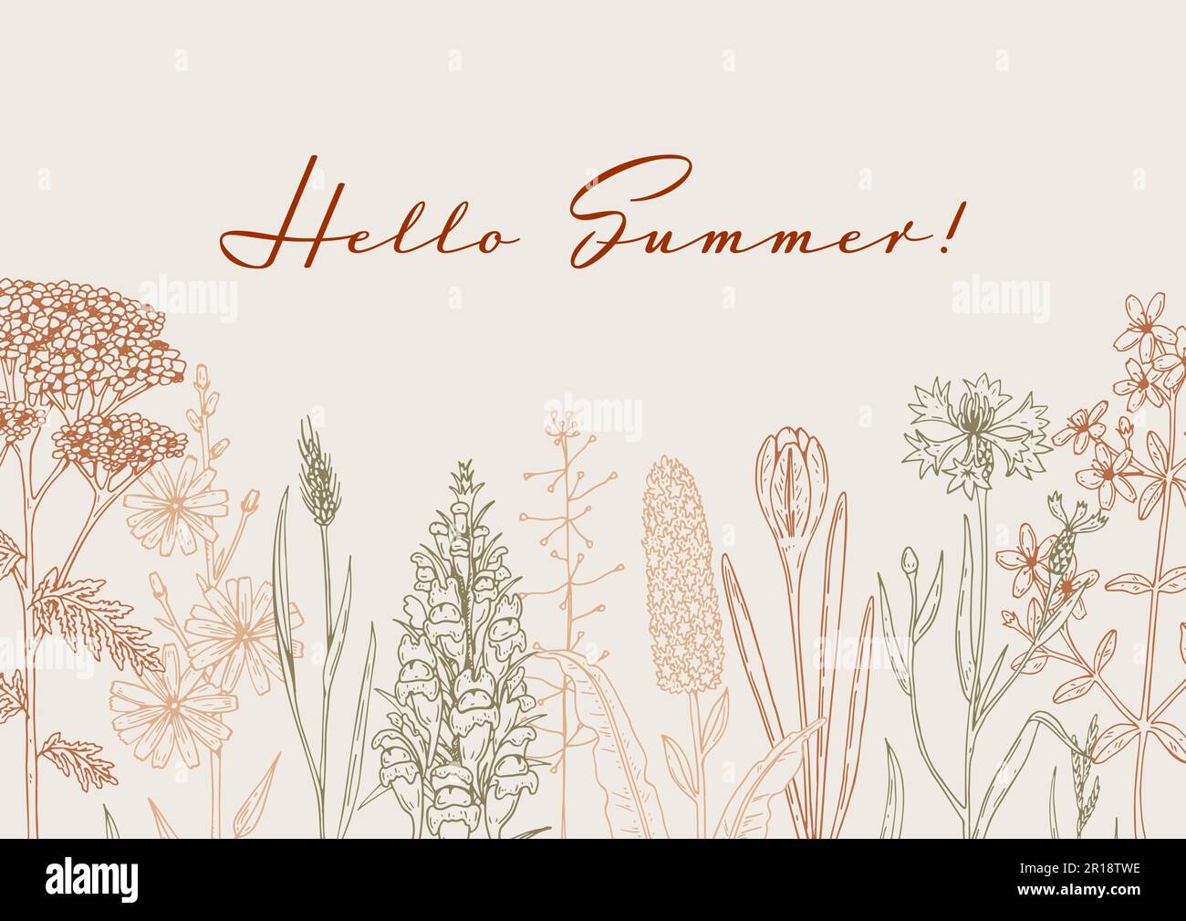 Hand drawn summer horizontal wildflowers design. Vector illustration in ...