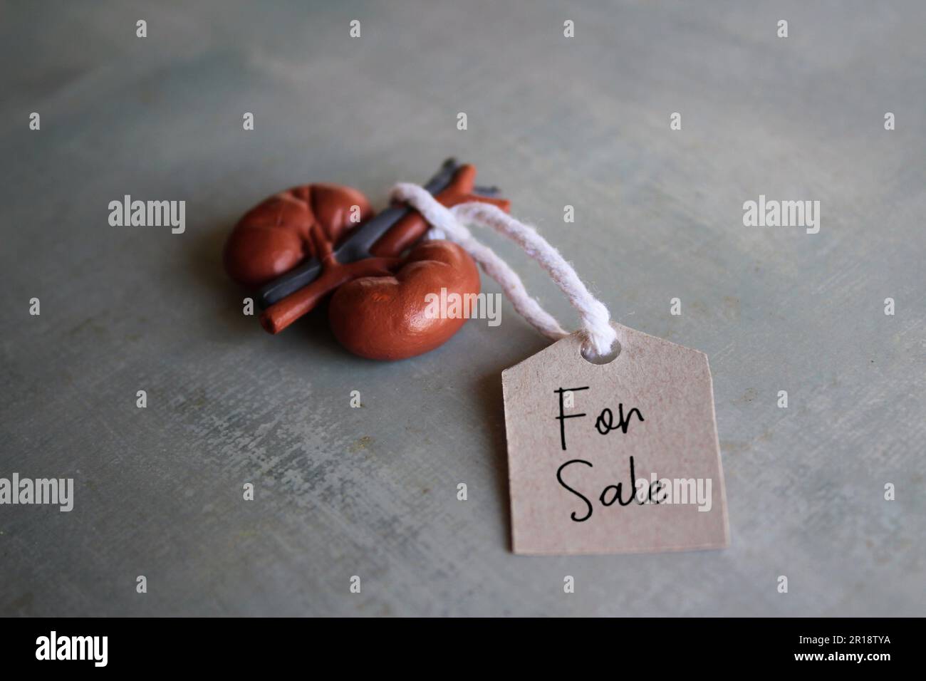 Human kidney with tag FOR SALE. Organ trafficking, organ transplant and ...