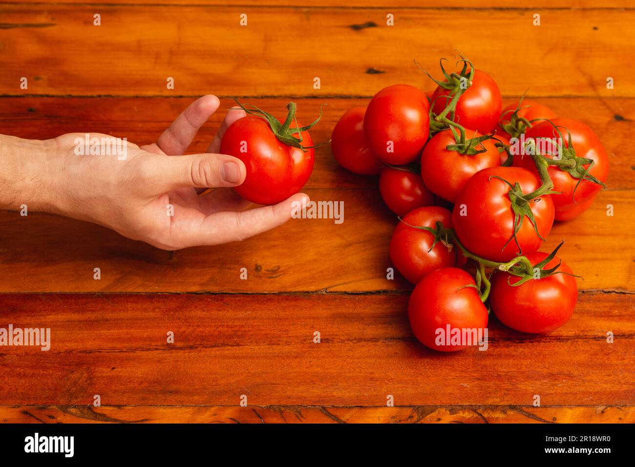 Picking red juicy organic tomatoes hi-res stock photography and images ...