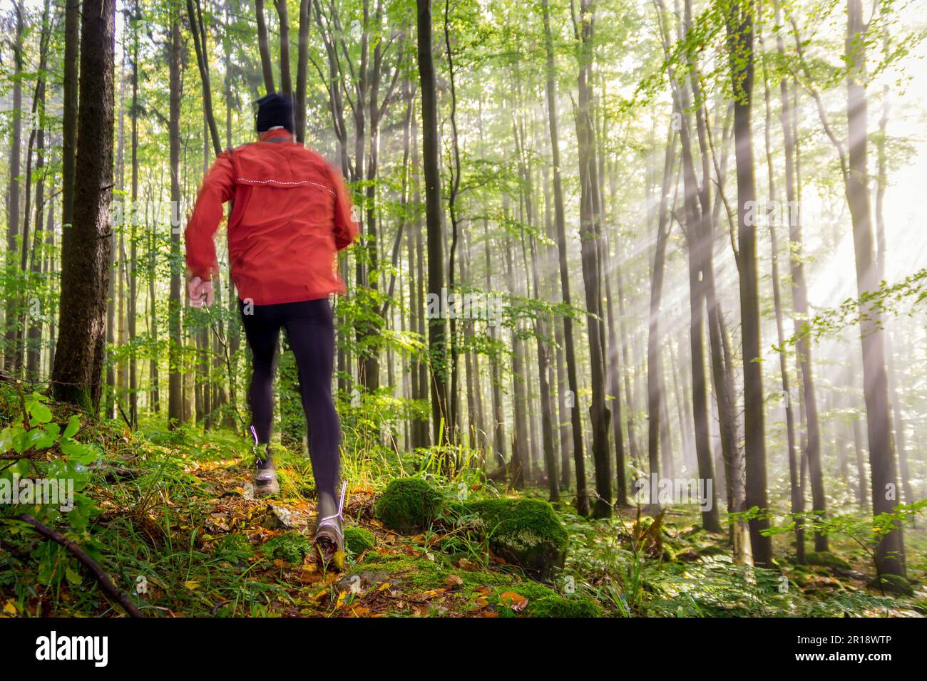 A fit, active man wearing a bright red jacket running up a lush, grassy ...