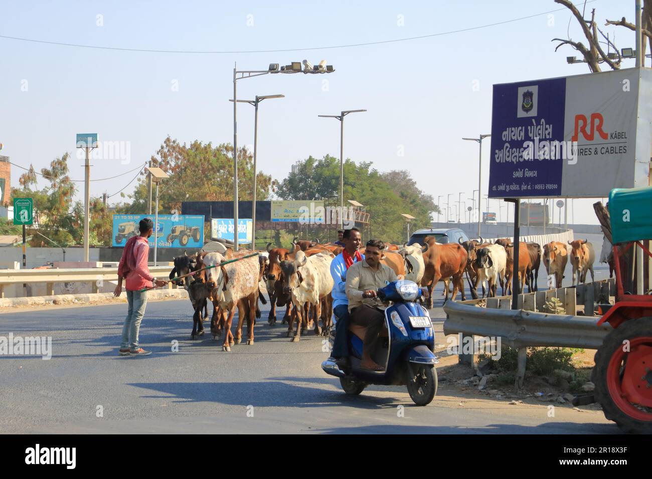 Gujarat colorful buildings hi-res stock photography and images - Alamy