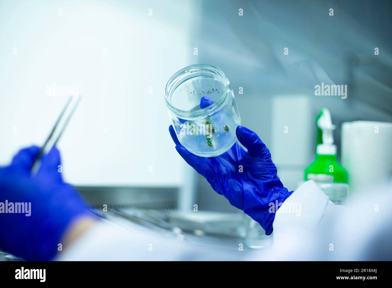 Specimen jar scientist hi-res stock photography and images - Alamy