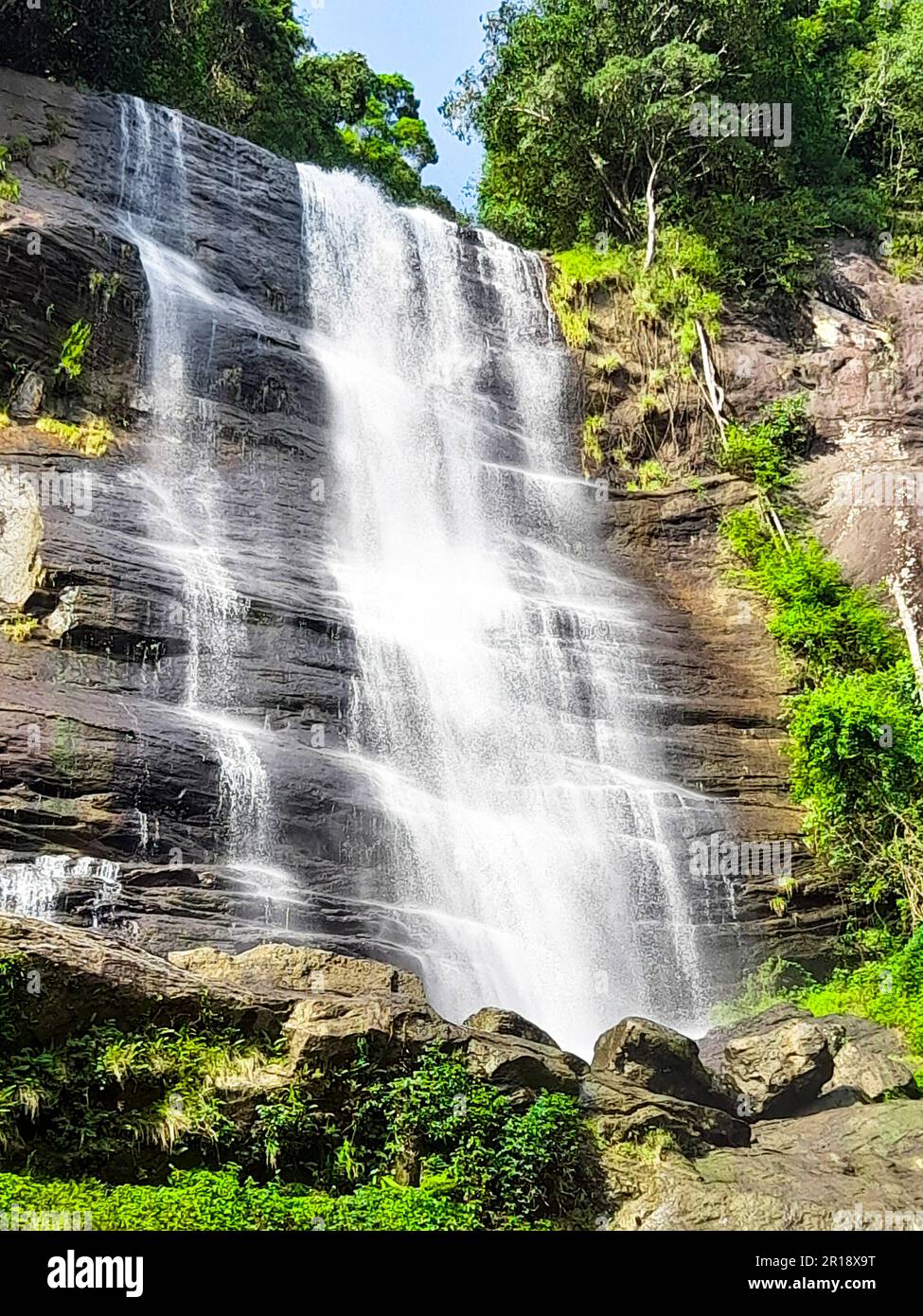 Fascinating waterfall in a tropical forest Stock Photo - Alamy