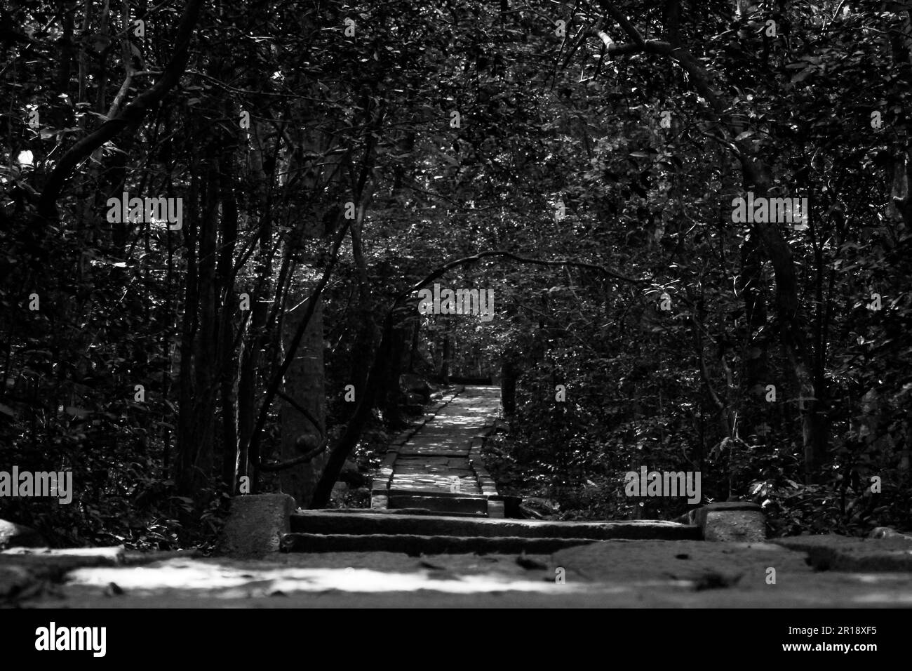Garden path Black and White Stock Photos & Images - Alamy