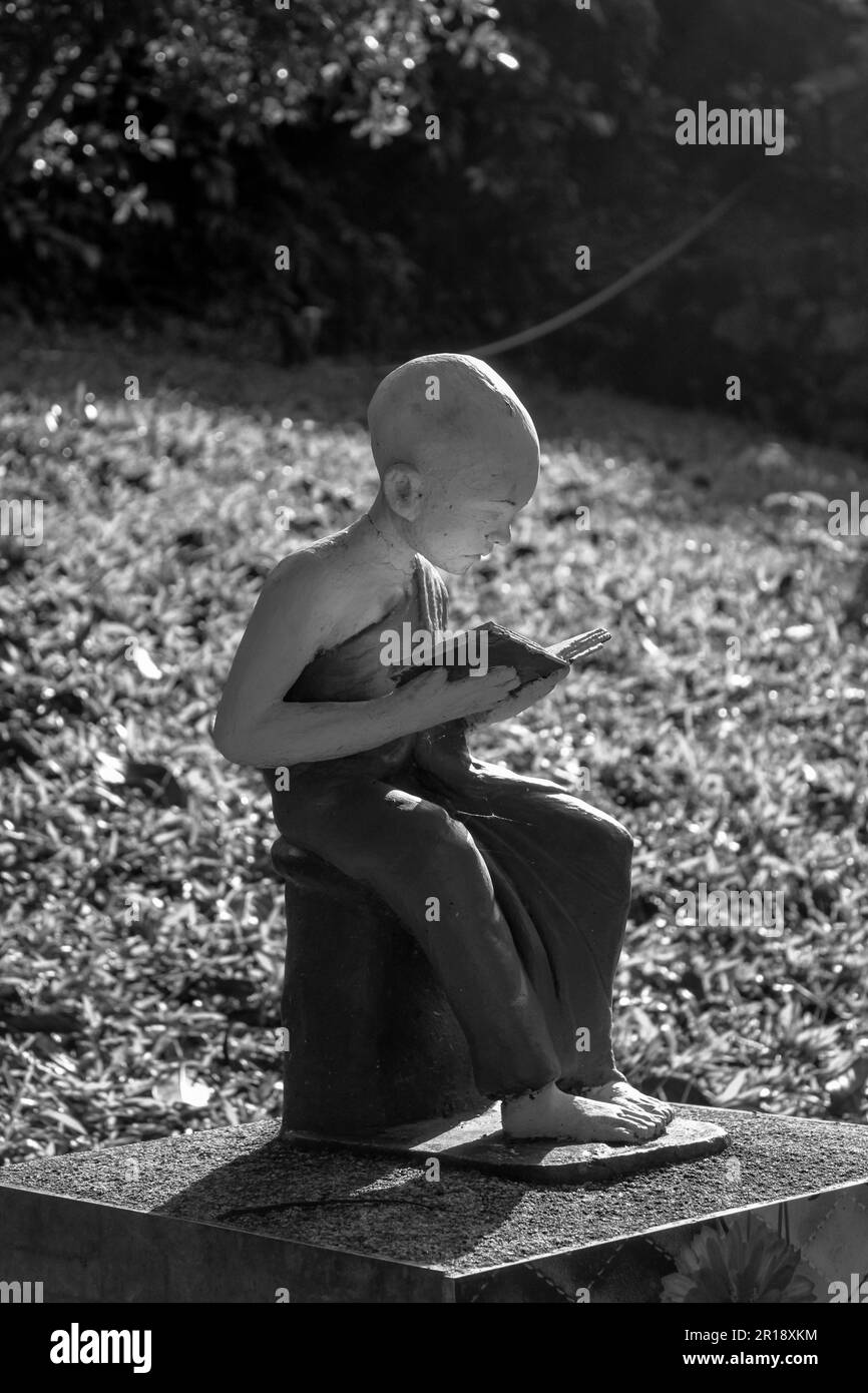 Reading book statue Black and White Stock Photos & Images - Alamy