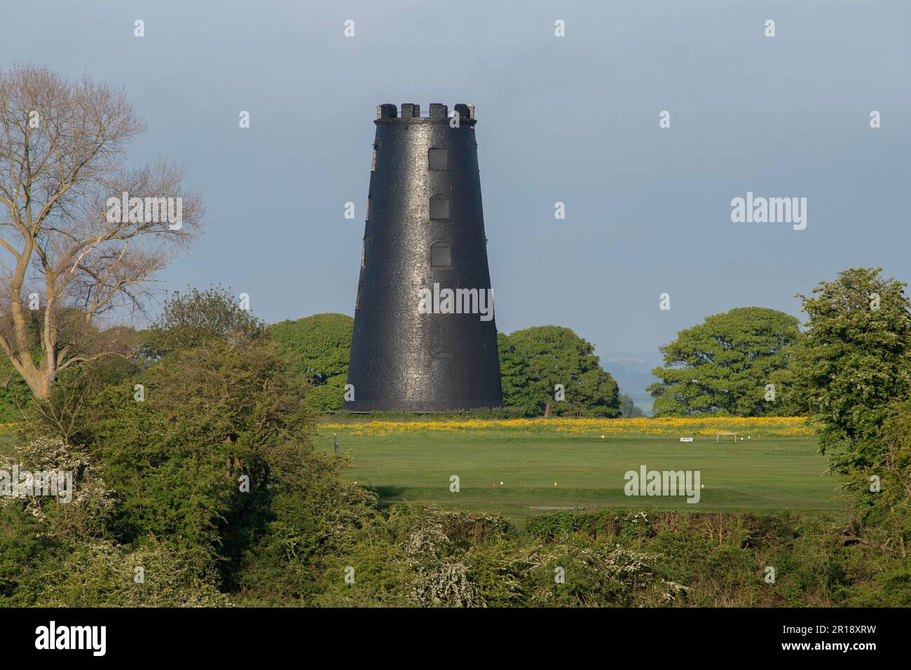 The Black Mill surrounded by Buttercups on Beverley Westwood in East ...