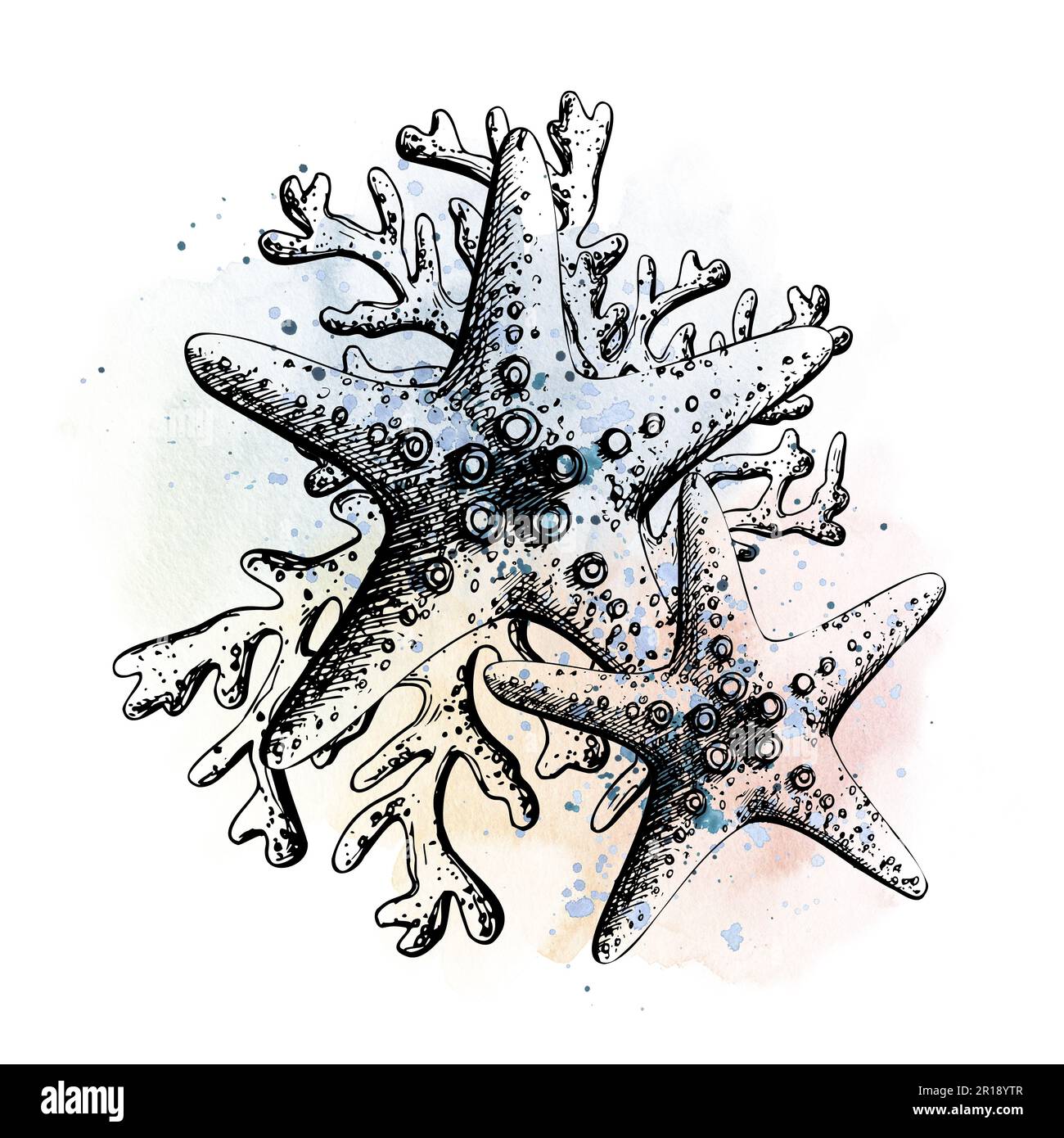 Starfish with corals graphic with watercolor spots and splashes in blue ...