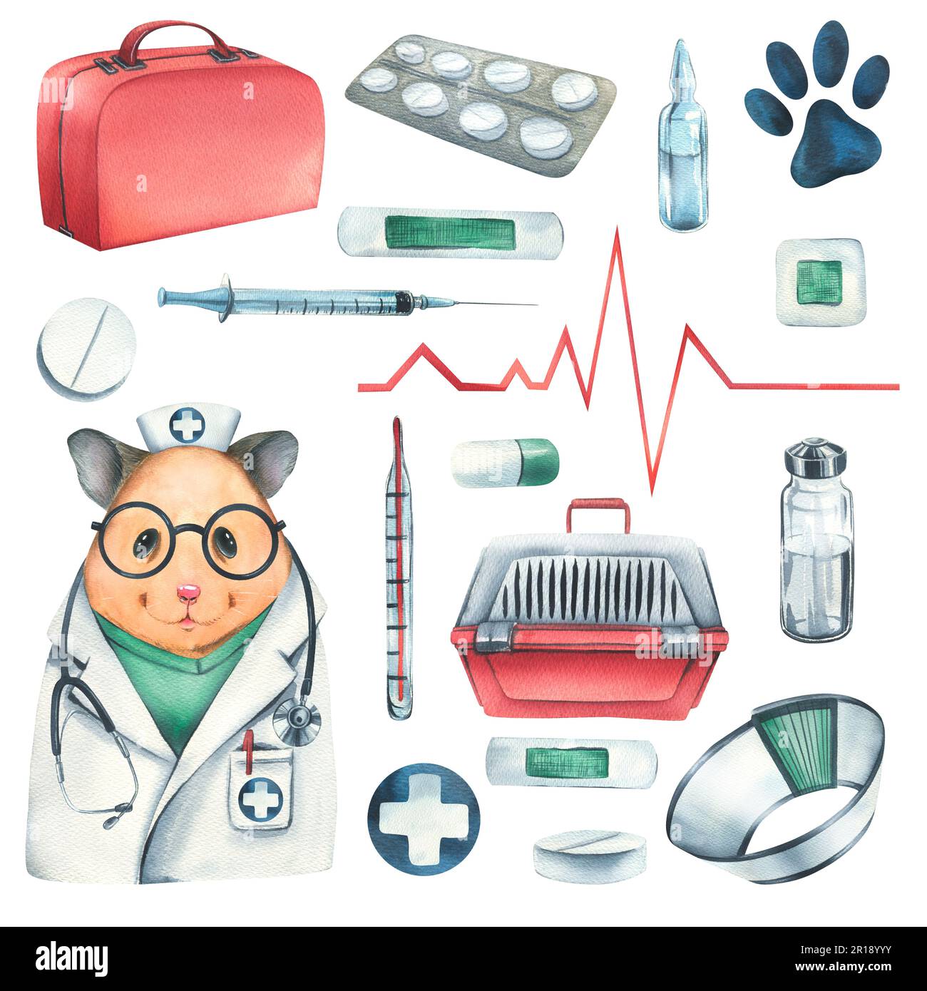 Veterinary set with doctor hamster, pet carrier, medicines. Watercolor ...