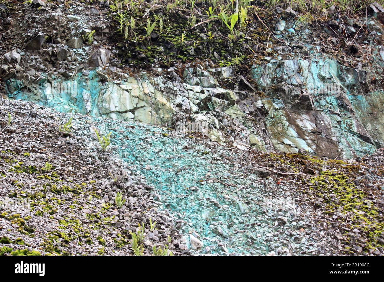 One big fella mega waste Stock Photo - Alamy