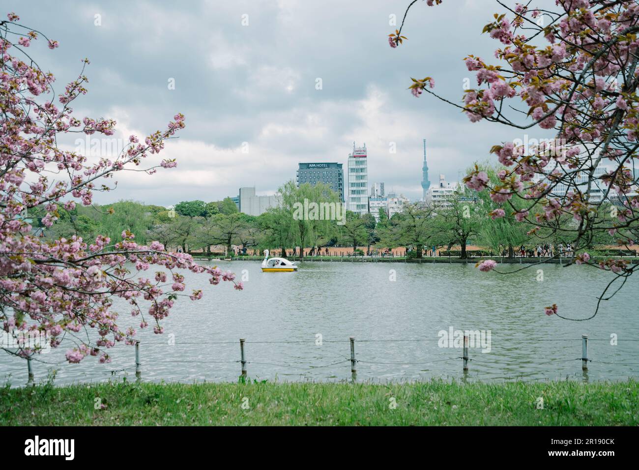 Ueno, Japan, April 7, 2023 : Swan paddle boats for rent at Shinobazu ...