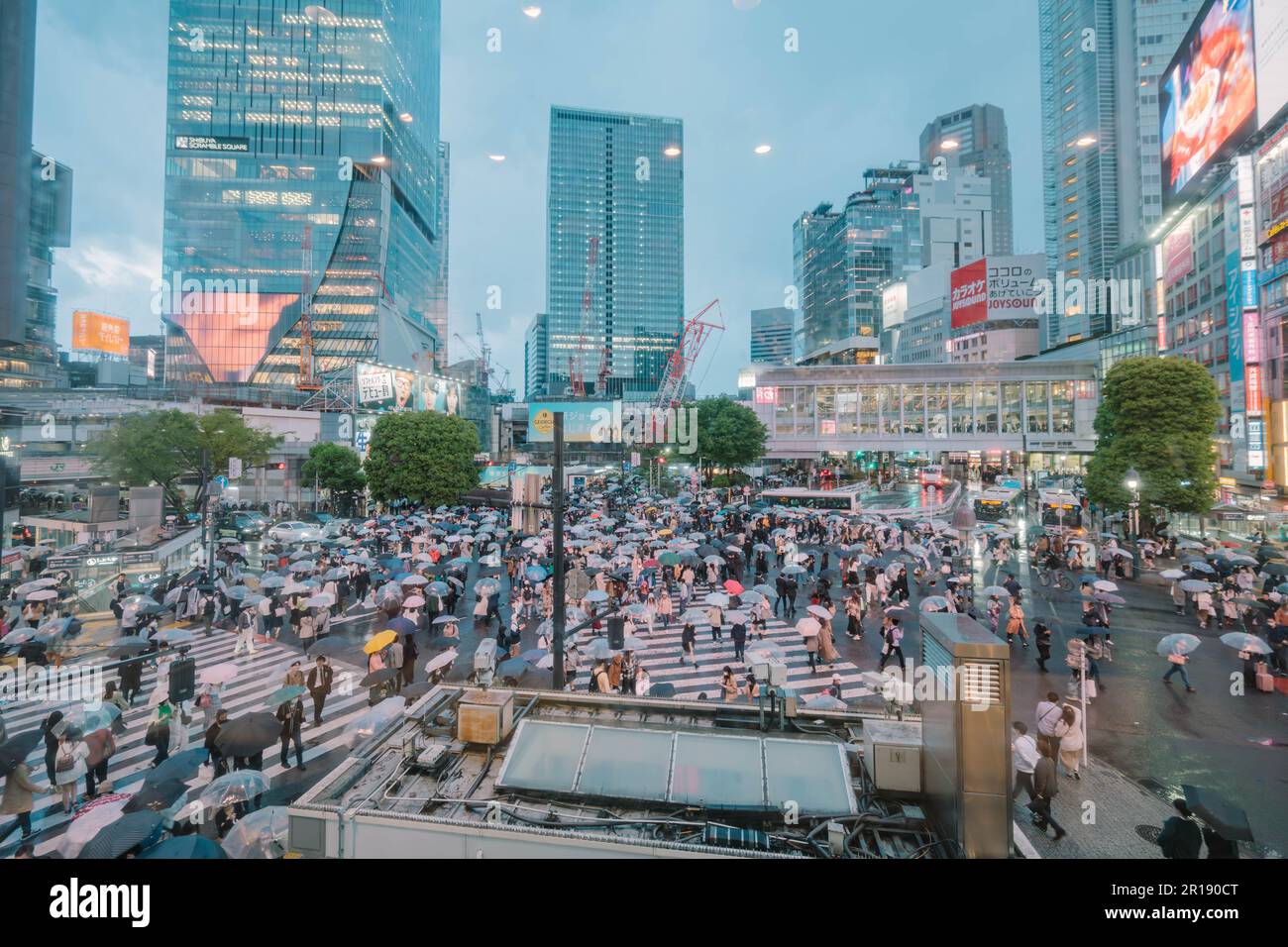 Tokyo crossing aerial hi-res stock photography and images - Alamy