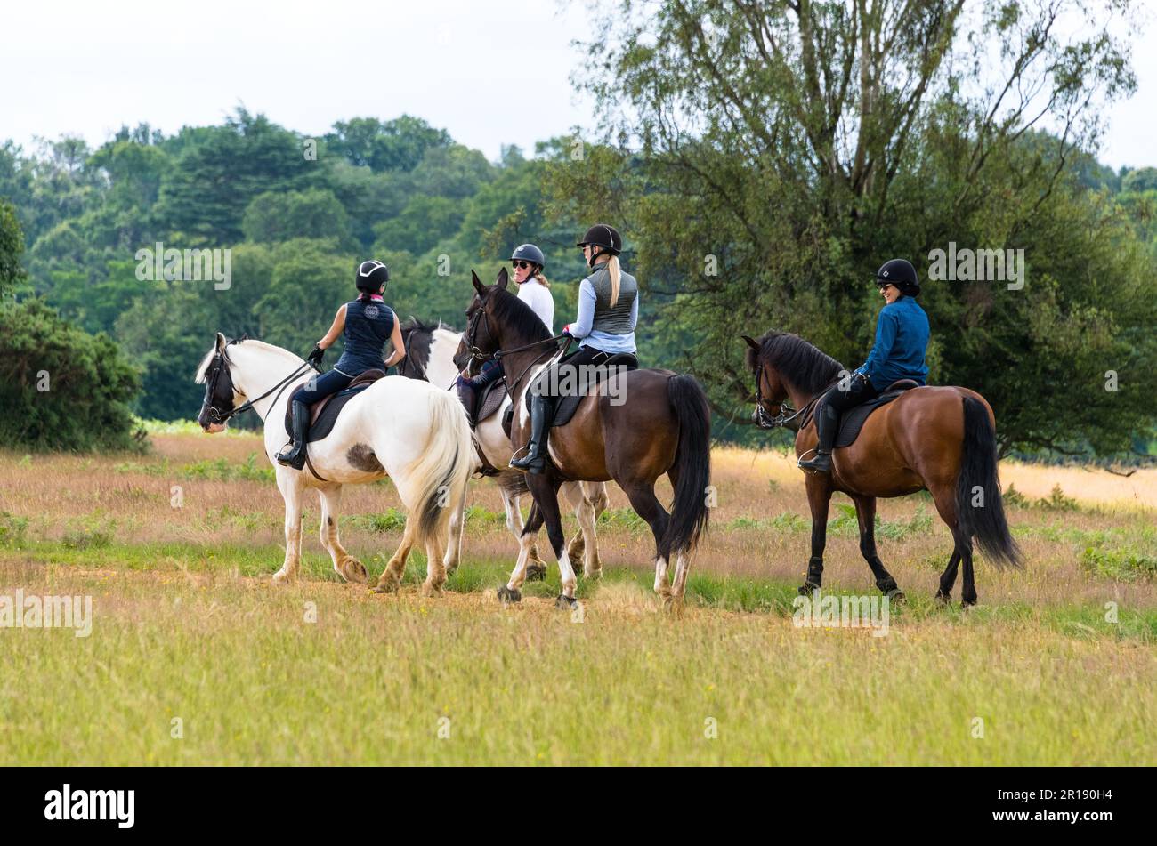 Horse riders in Windsor Great Park, Berkshire, England Stock Photo - Alamy